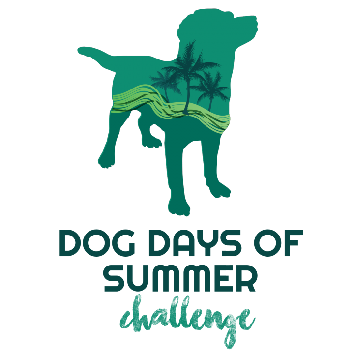 Concept2 Logbook | Dog Days Of Summer