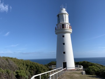 Concept2 Logbook | Australian Indoor Rowers —World Erg Challenge 2024